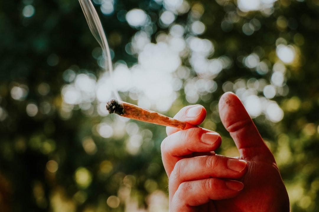 Choosing Papers for Weed: Rolling Tips and Choices